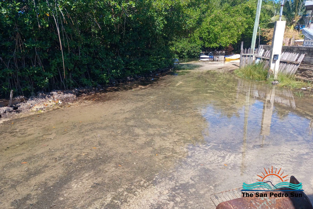 King Tides flooding San Pedro homes and streets - The San Pedro Sun