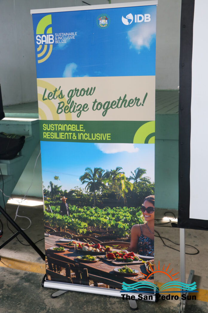 Belize Launches Sustainable & Inclusive Belize (SAiB) Grants Program for Tourism MSMEs - The San ...
