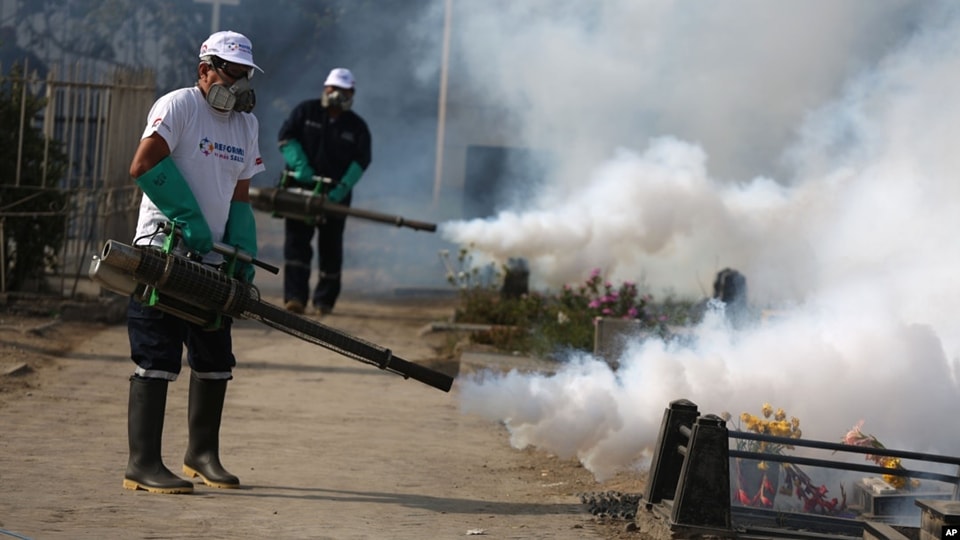 Health Officials Warn Residents to Take Precautions This Mosquito ...