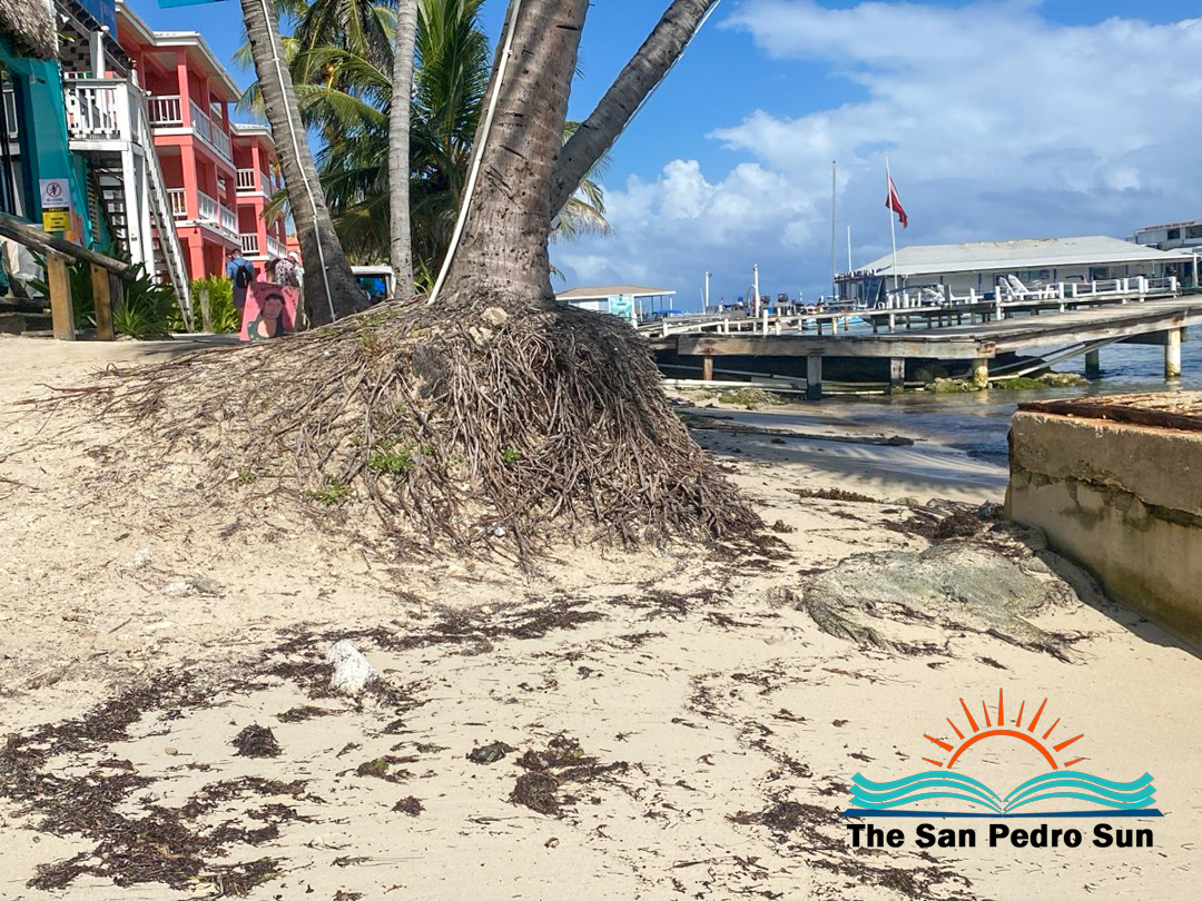 National Climate Consultations to Address Climate Risks Affecting ...