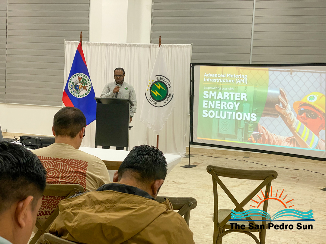 BEL rolls out new electricity metering system in San Pedro - The San ...